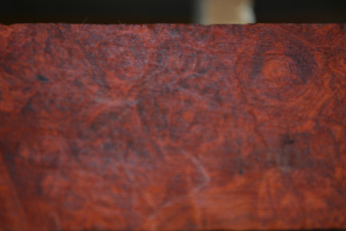 Afzelia Xlay | knotsinyourhead