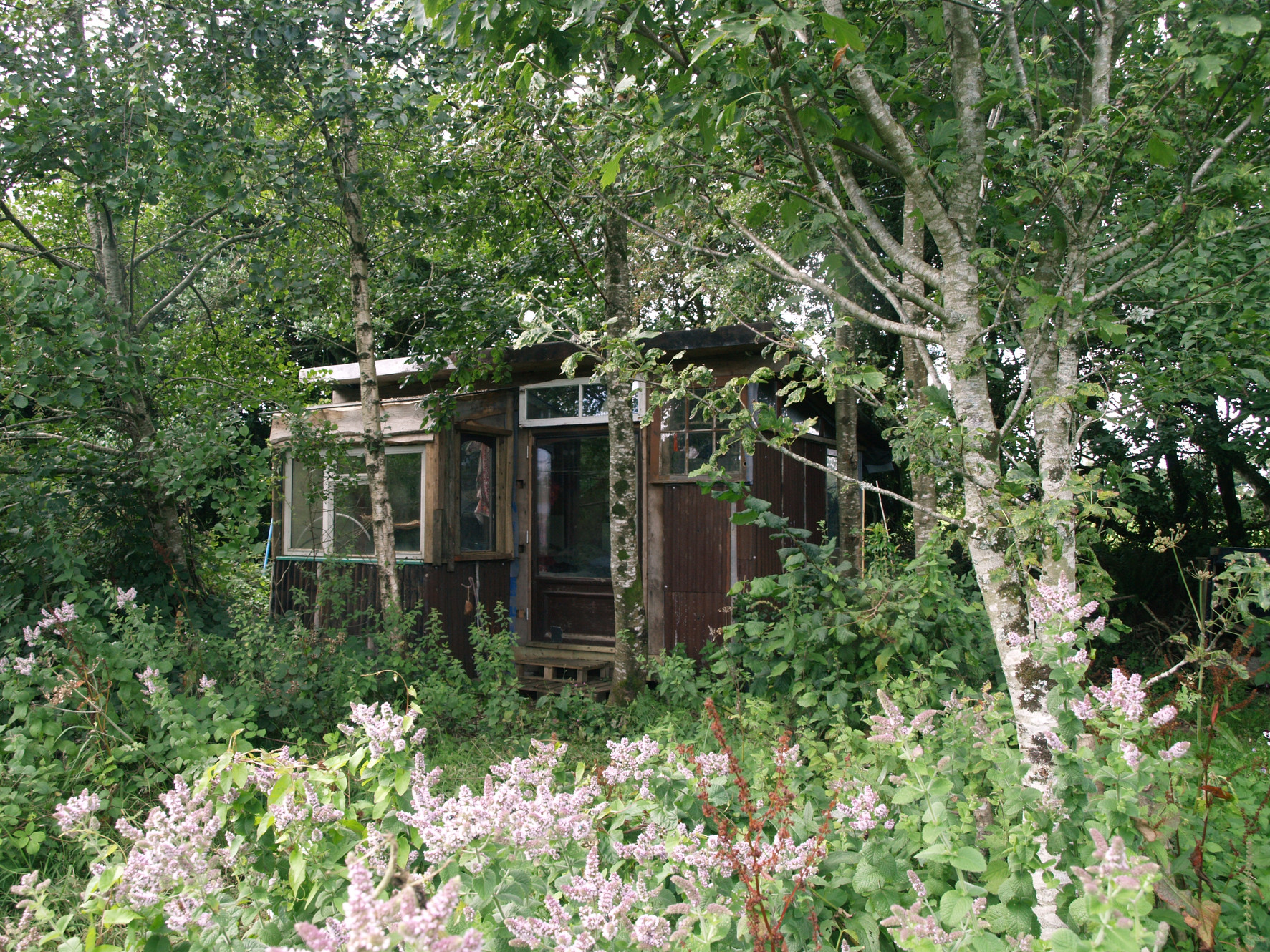 Off Grid Arts Homesteading Sustainable Totnes Devon UK