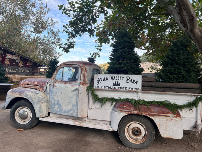 ACTIVITIES | Avila Valley Barn