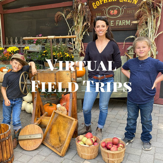 ACTIVITIES | Avila Valley Barn