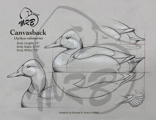 Canvasback Pattern (Digital Download) | MRB Decoys