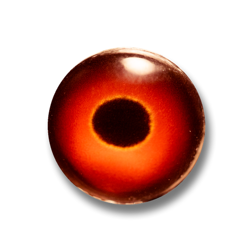 True Eye-Wood Duck Drake | MRB Decoys