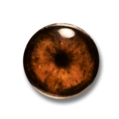 Custom Glass Eye | MRB Decoys