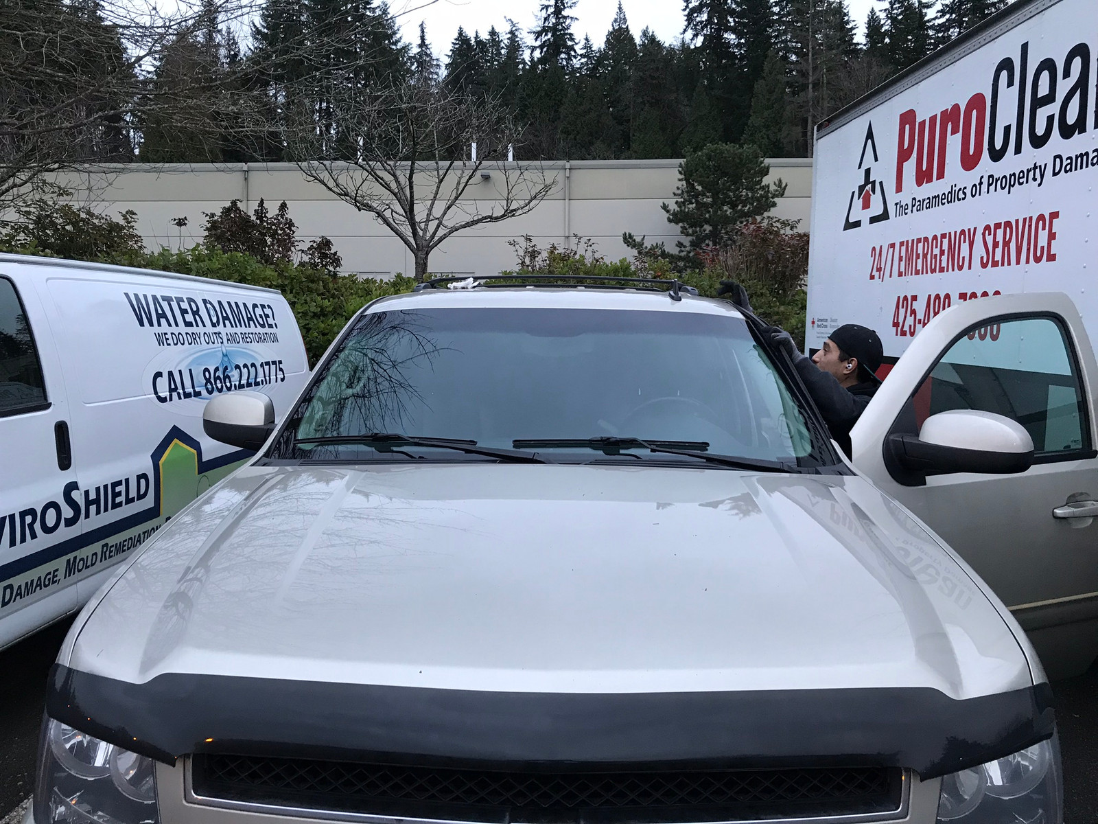 Windshield Repair | Absolute Auto Glass | Snohomish