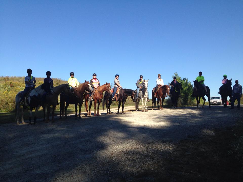 Gallery | Holly Rock Stables