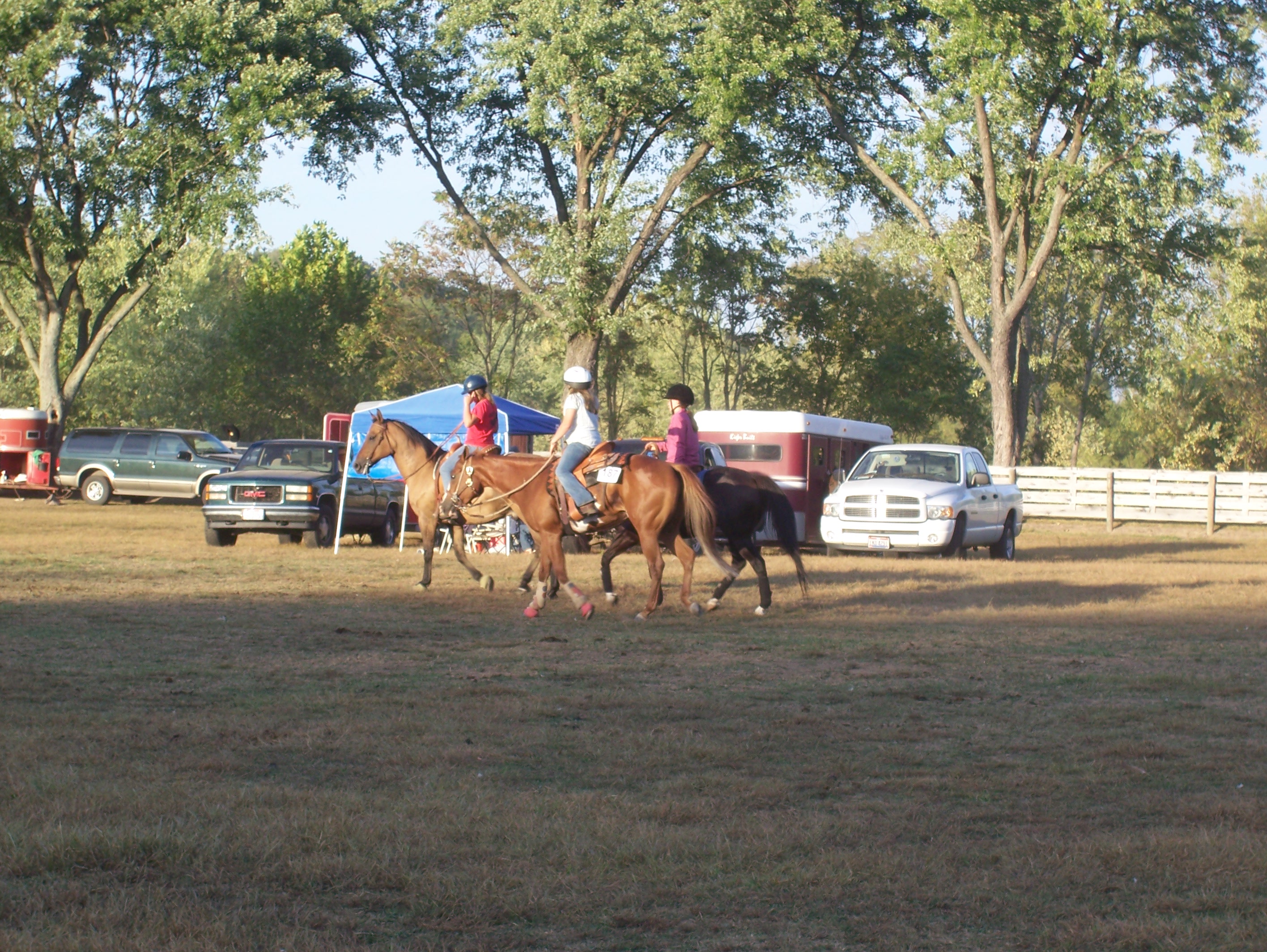 Gallery | Holly Rock Stables