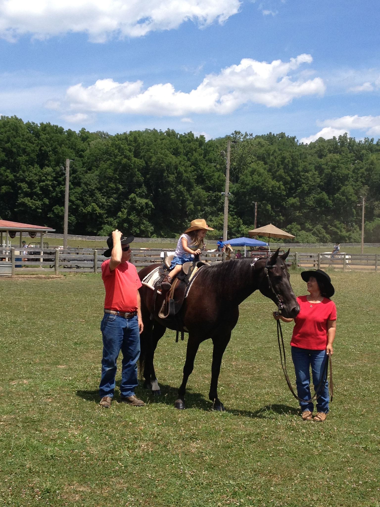 Gallery | Holly Rock Stables