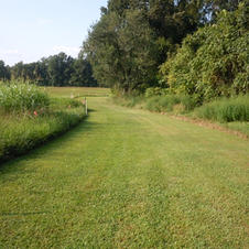 POLE GREEN PARK CROSS COUNTRY COURSE