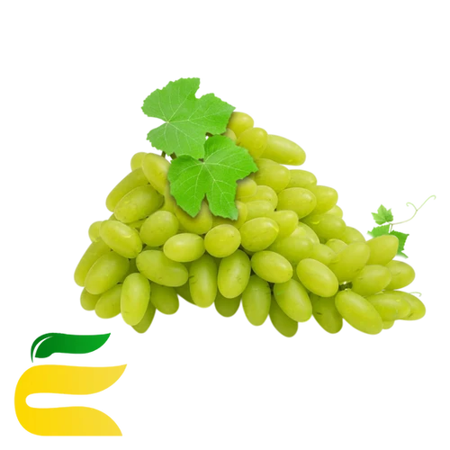 Uva Thompson (10 Bdjs) - aprox. 5 kg | Ceasa Entrega