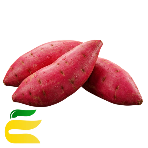 Batata Doce Rosada G Caixa 18 kg | Ceasa Entrega