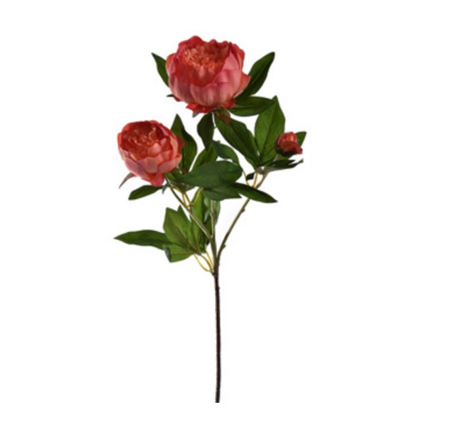 PEONY SPRAY FLAME | manor-house-malta