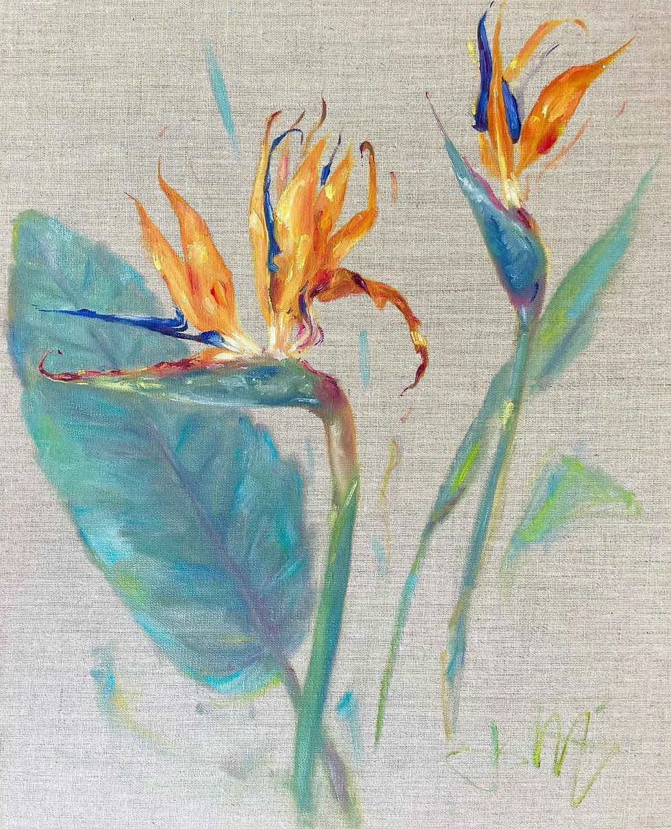 Shop | Juniper Galleries