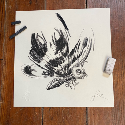 GODZILLA vs MOTHRA original charcoal drawing “Mothra Profile ...