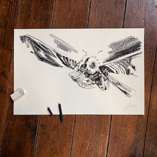 GODZILLA vs MOTHRA original charcoal drawing “Flight” | gregthings-3