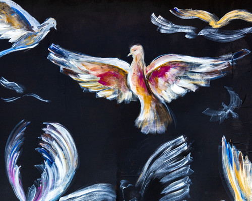 All Products | Alex Alicea Photo