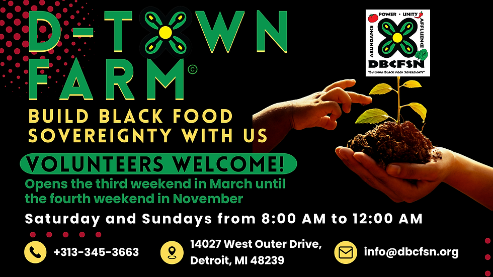 D-Town Farm | DBCFSN