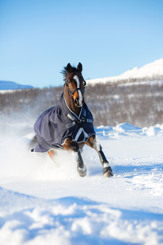 Rambo Wug 200g | Sweden Horse Rugs