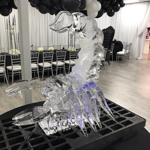 3D Scorpion Ice Sculpture | ice and fruits