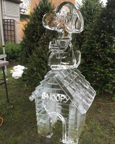 Snoopy sitting on his house | ice and fruits