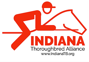 Indiana thoroughbred racing | Springcliff Farm