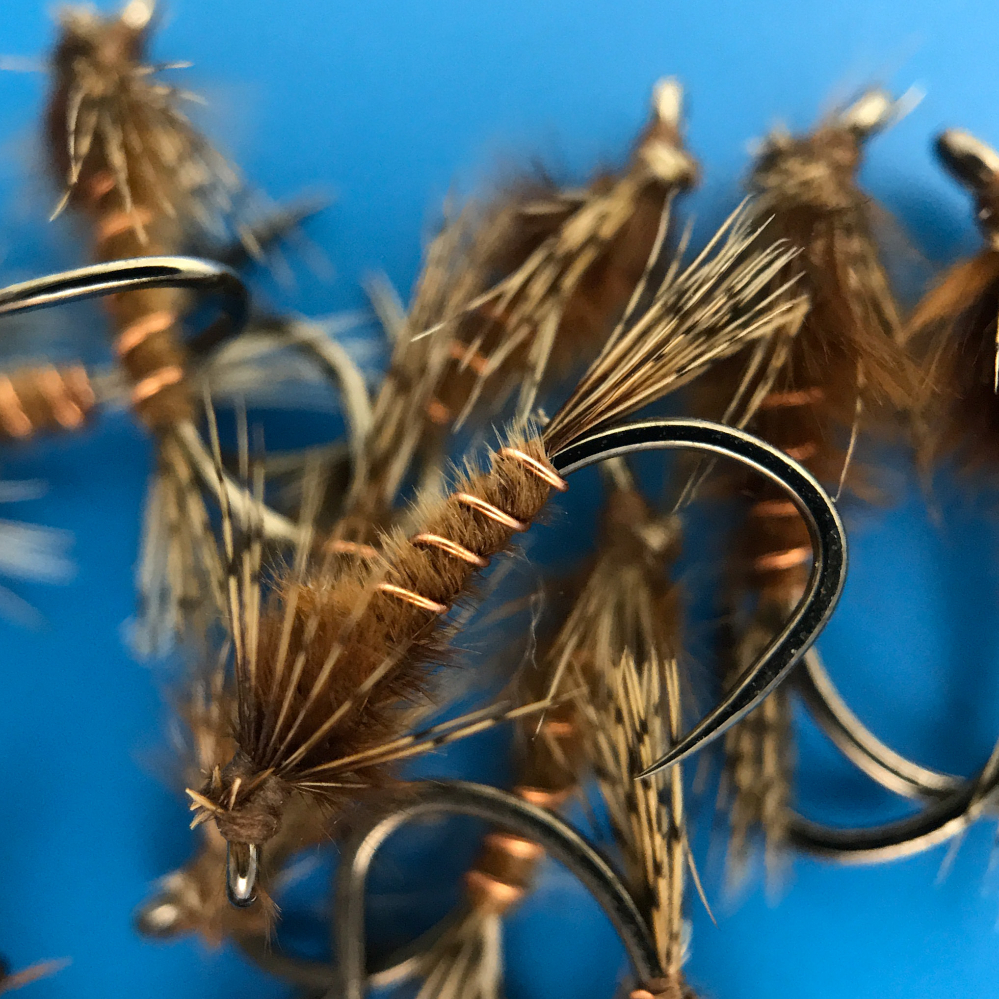 Fly Fishing The Owyhee River | Jump Creek Flies | United States
