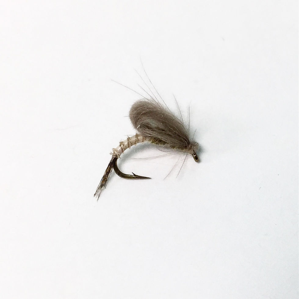 Callibaetis CDC Bubble Emerger | jumpcreekflies