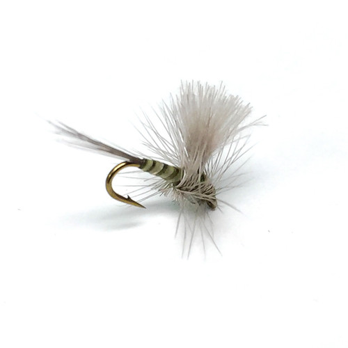 BWO CDC Thorax | jumpcreekflies