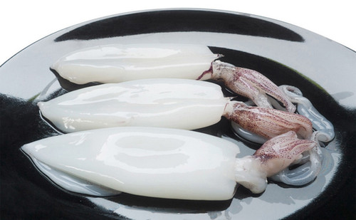 Calamari Tubes & Tentacles | Giovanni's Fish Market | Buy Online