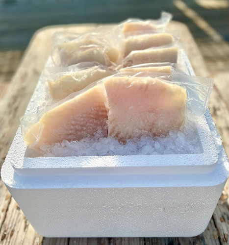 Big Box Alaskan Halibut Fillet 10lbs | Gio’s Fish