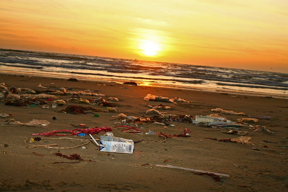Ocean Plastic – Young People Tackle the Crisis