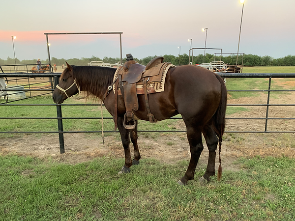 Baron Red Joe Jack | Hostetler