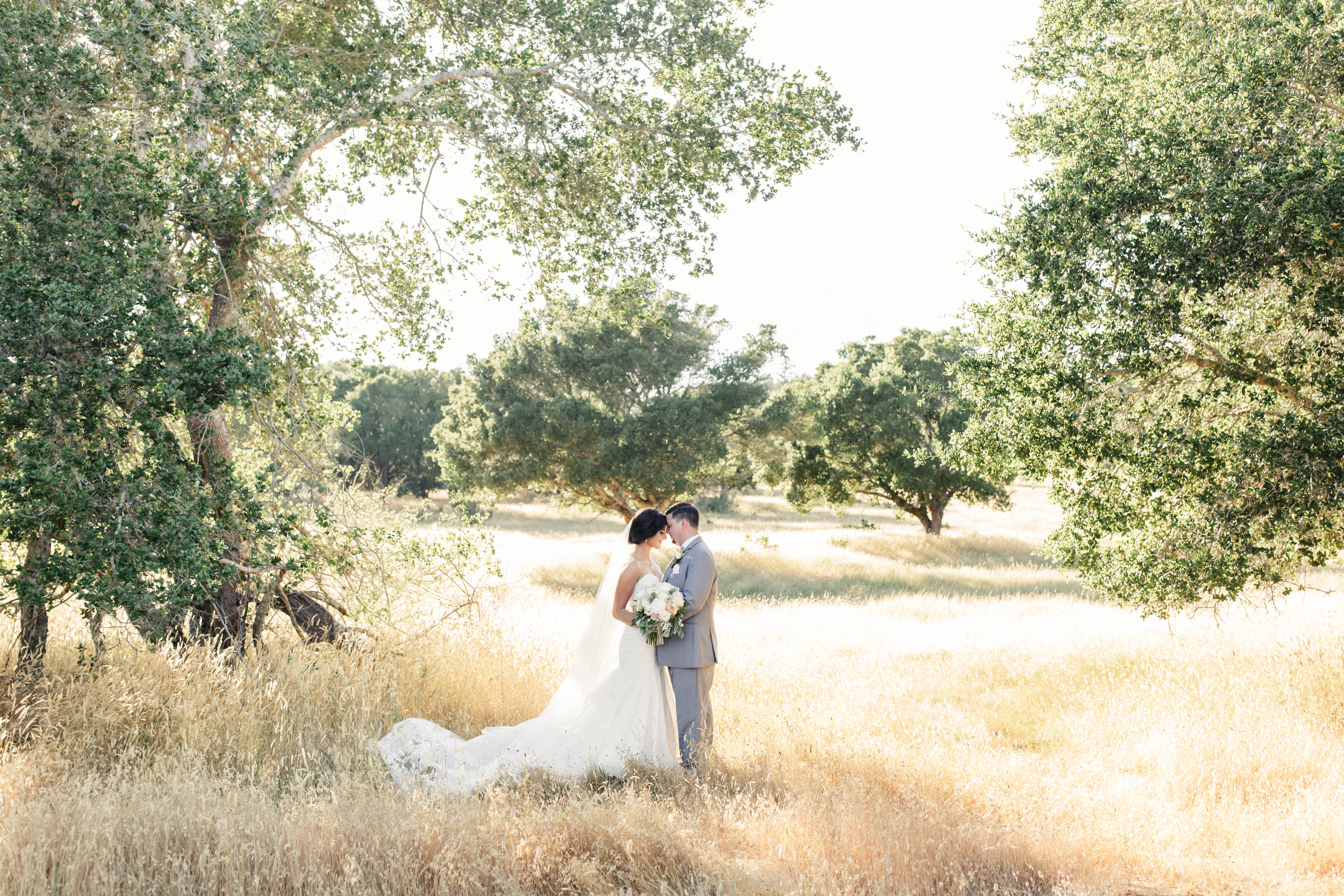 Torrey Fox Photography | San Francisco Bay Area Wedding & Portrait