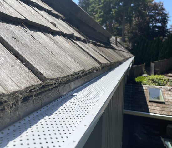 The Ultimate Guide for Leaf Guards: What Chatham Homeowners Need to Know