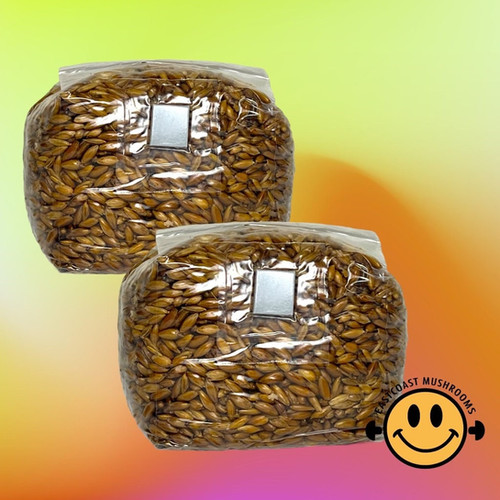 Sterilised Grain Spawn 500g x 2 | Eastcoast Mushrooms