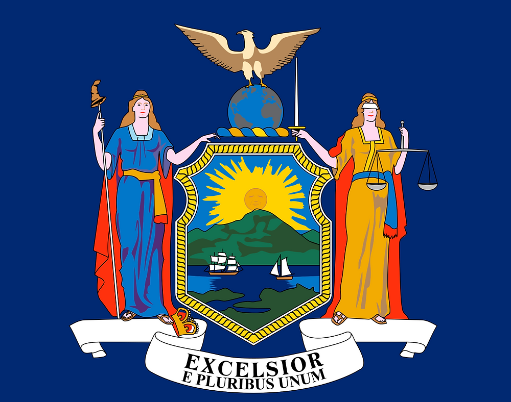 Why You Need to Understand the SHIELD Act, Even If You're Located ...