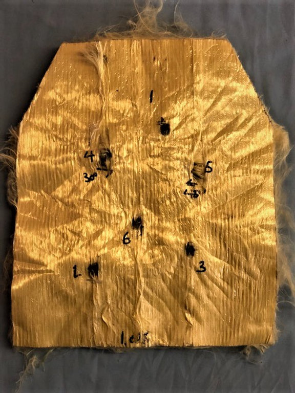 BULLET PROOF BACKPACK MYTH