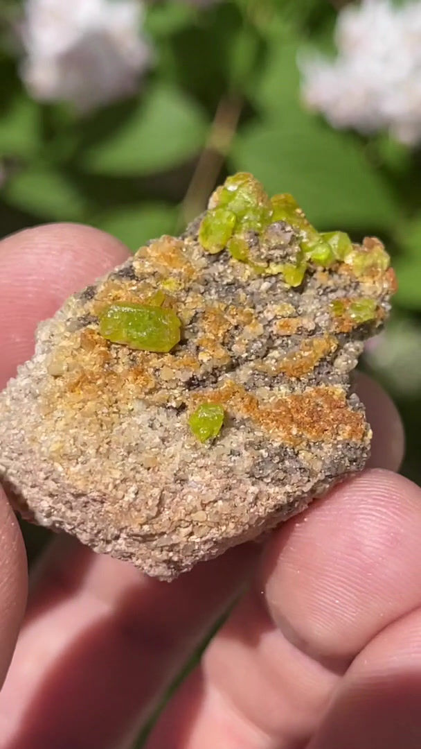 Pyromorphit – Freihung, Oberpfalz, Bayern, Deutschland | mineralien.de