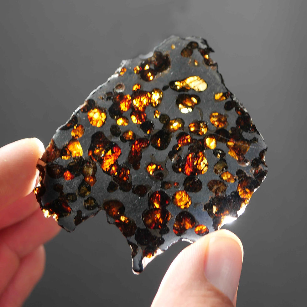 Meteorit Springwater, 28.98 G – Saskatchewan, Kanada | mineralien.de