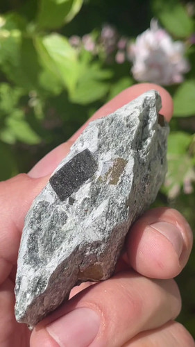 Breunnerit (Fe-Magnesit) – Pfitscher Joch, Zillertal, Österreich ...