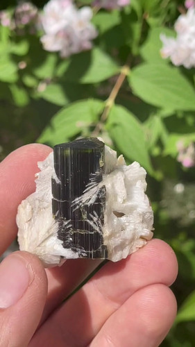 Turmalin (Rep.) – Niyit Bruk, Dusso, Pakistan | mineralien.de