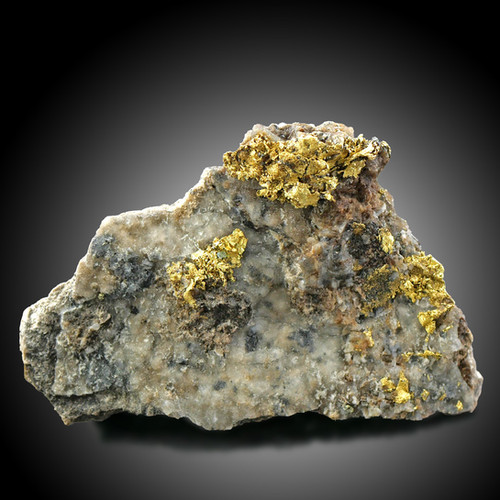 Gold gediegen – Verespatak, Siebenbürgen, Rumänien | mineralien.de