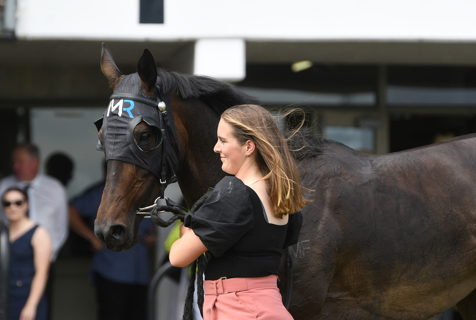 Gallery | Sam Mynott