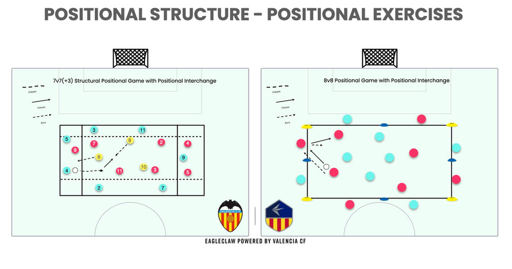 Positional Structure & Exercise Design