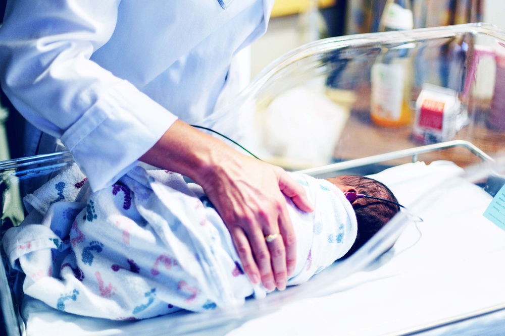 Artificial womb: Dutch researchers given €2.9m to develop prototype