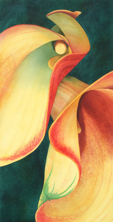 Flower Paintings | Rachel Collins