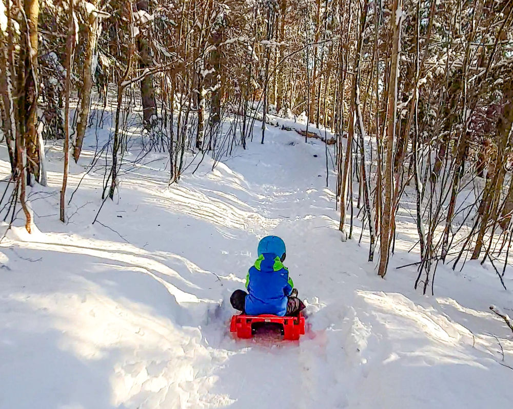 Sledging in the forest | St-Cergue | VD | Best family outing | The ...