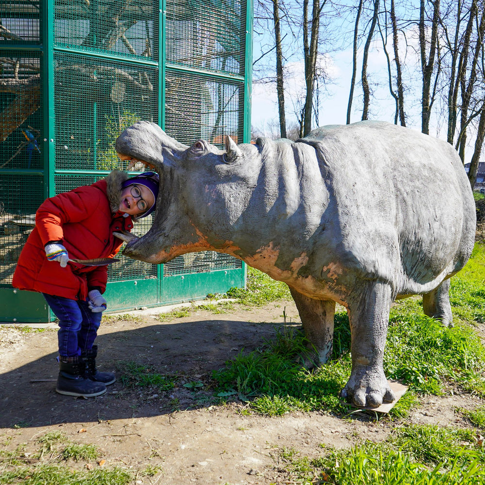 Bioparc Genève Pierre Challandes | Best family outing | The Family of 5 ...