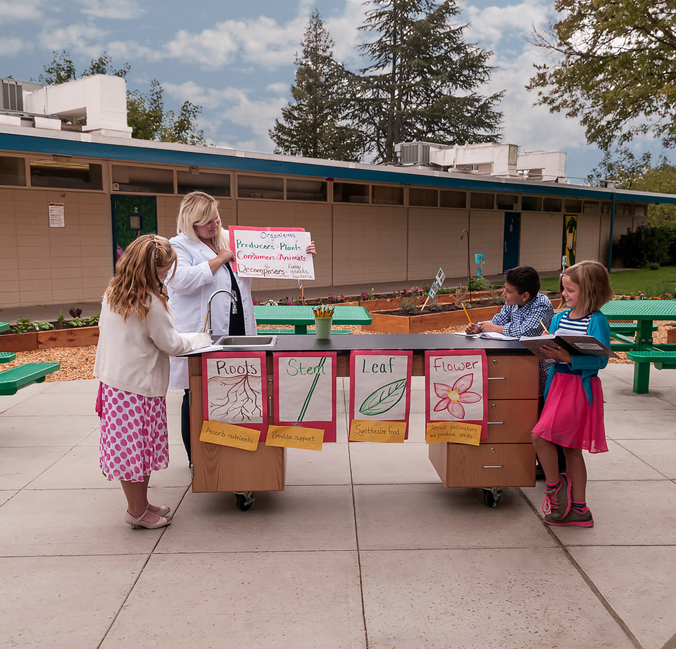 Pasadena Elementary School STEM Lab
