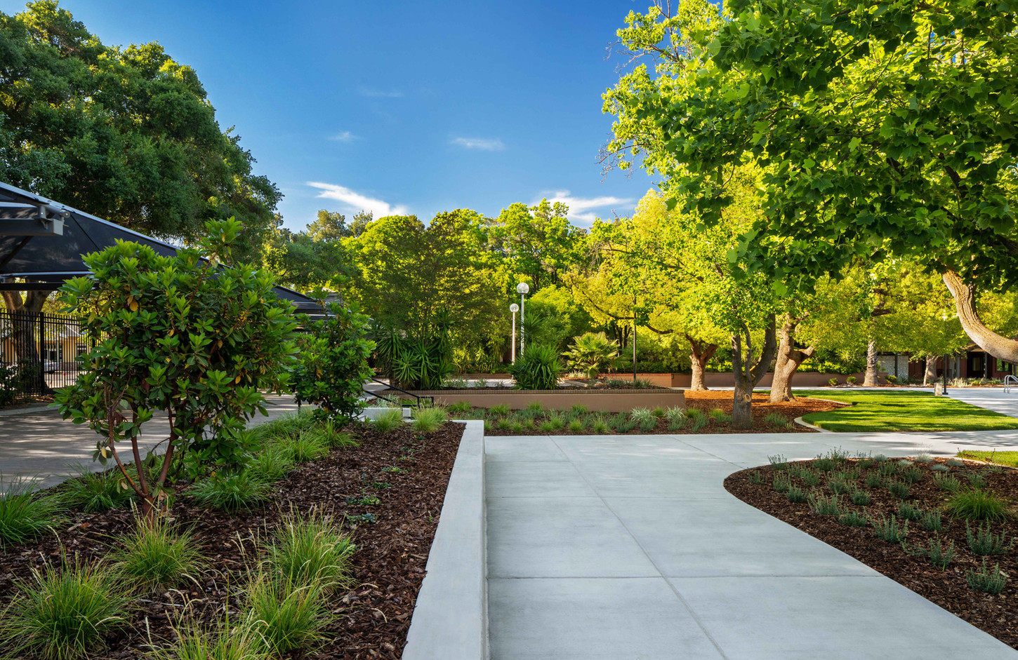 UC Davis Recreation Pool Renovation