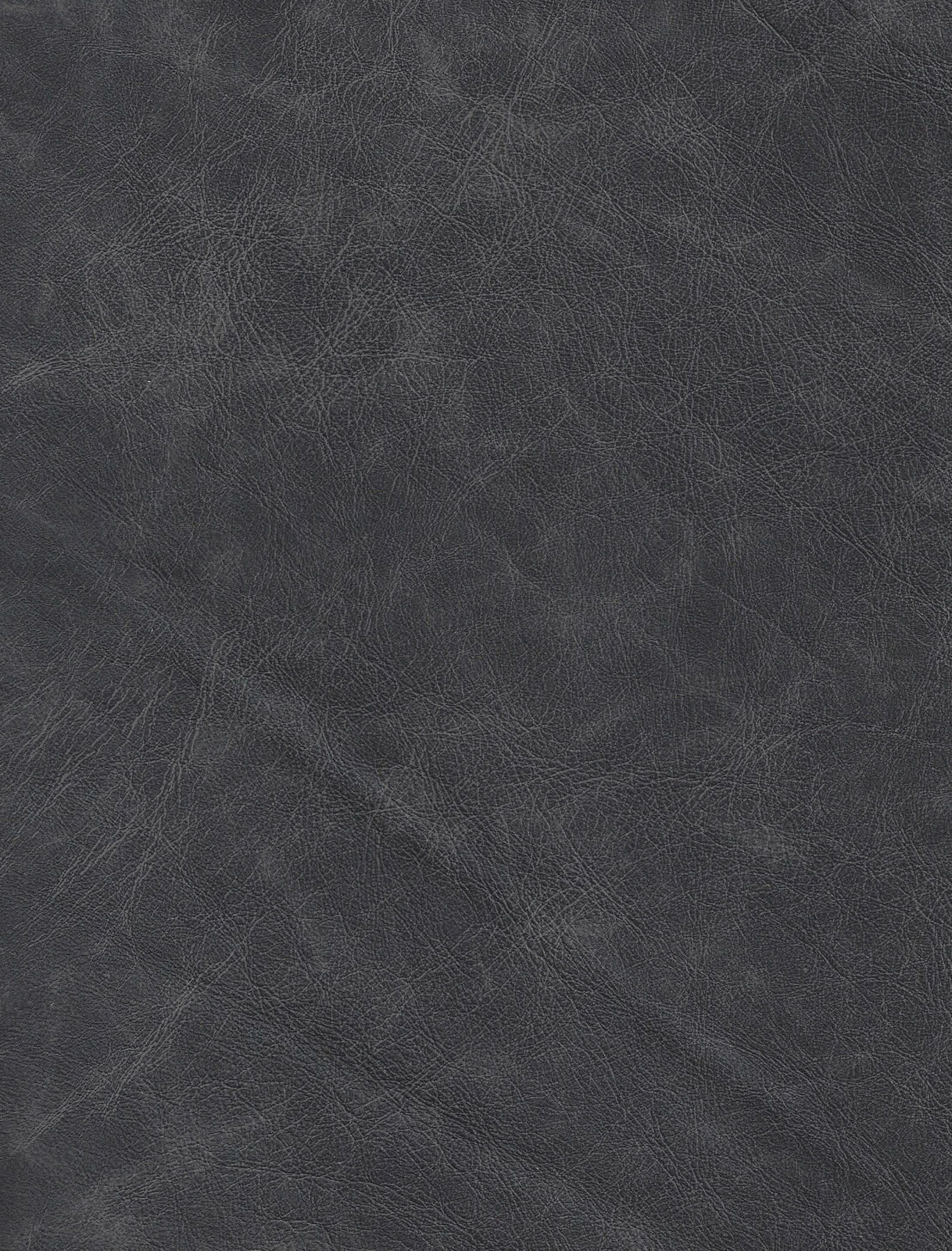 Leather Choices | Laam Seats